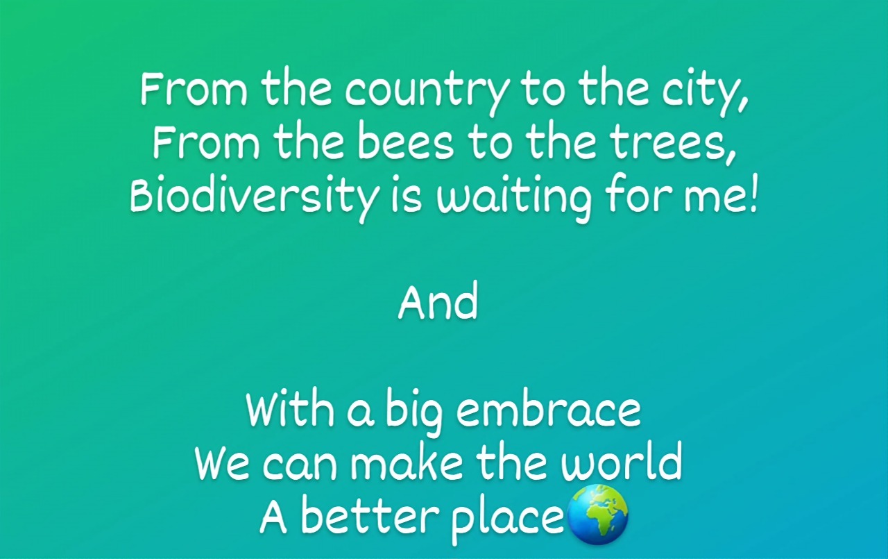 Biodiversity Slogan :: St. Michael's NS, Corcaghan, Co. Monaghan H18 E284.